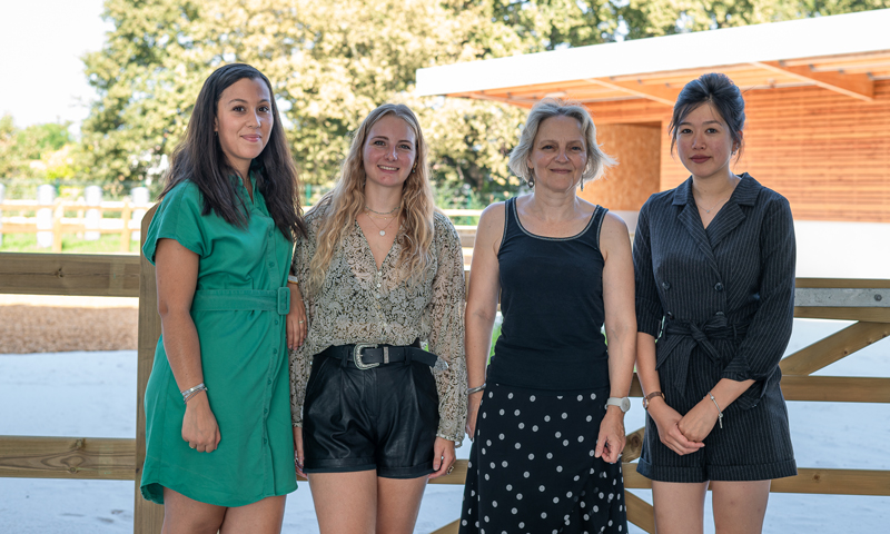 Our Openings - Join LIM Group